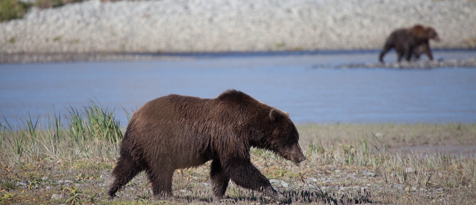 Tutka Bay Wilderness Lodge - Tecnitravel